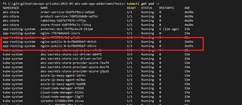 Install Nginx On Aks With The Application Routing Add On And Terraform