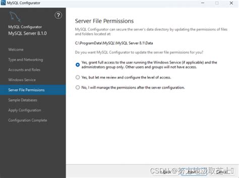 Windows上mysql的详细安装与配置教程 Csdn博客