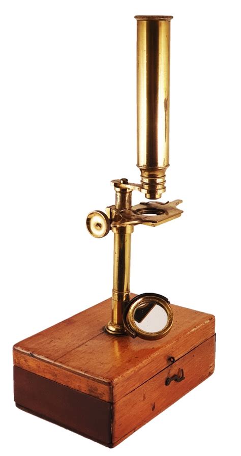 A Picture Containing Table Sittingdescription Automatically Generated