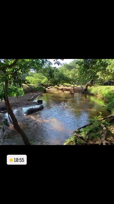 Amazingly Beautiful Slingshot Slingshotride Sligshotride Slingshot