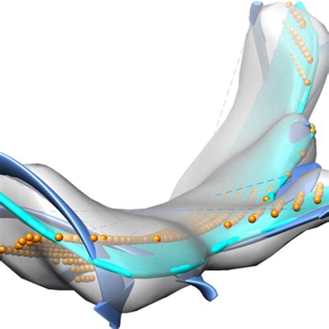 Bézier Surface And Polynomial Surface Fitted In The β Sheet Image Of