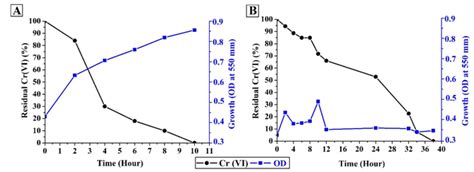 Electrogenic Activity And Hexavalent Chromium Reduction By Aeromonas Hydrophila Crmfc5