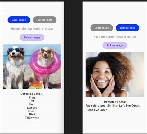 android ml face detection with camerax by stephen henry medium