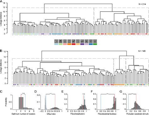 Hierarchical Cluster Analysis Of Category Set Stimuli Based On Msb And