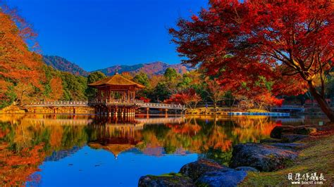 日本賞楓火紅楓彩秘境拍攝之旅 旅遊 卡提諾論壇