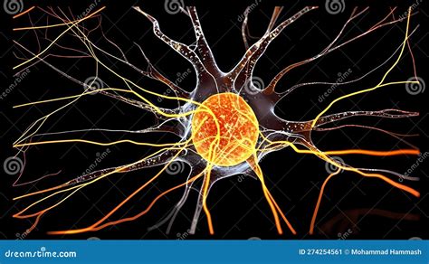 3d Representation Of A Neuron And Its Parts Dendrite Nucleus Soma Nerve Ending Axon Myelin