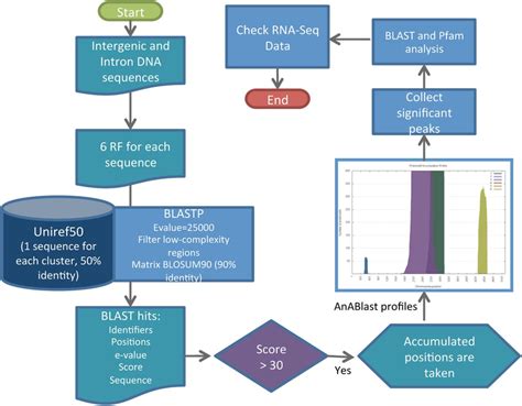 anablast algorithm schematized flux diagram for coding sequence