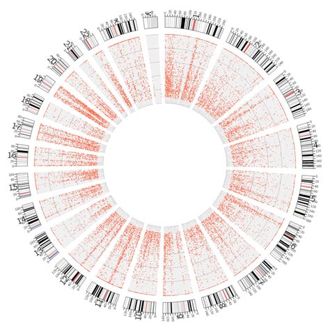 Figure S3 The Gene Coverage On The Chromosomes Of The Proband