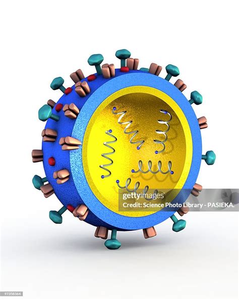 H1n1 Flu Virus Particle Artwork Illustration Getty Images