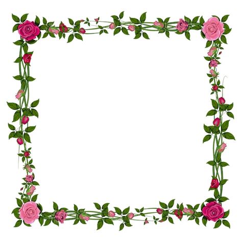 Рамка цветка красной розы изолирована Векторная иллюстрация Премиум векторы