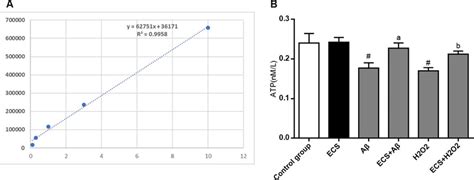 Beneficial Effects Of ECS On The Intracellular ATP Levels In The Download Scientific Diagram