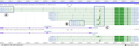 Human Grch37 Hg19 Refseq Annotation Update Ncbi Insights