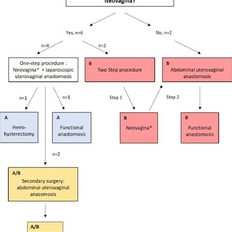 Surgical Treatment Algorithm Surgery For Neovagina By Modified