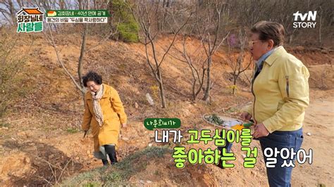 고두심♥김용건 찐 가족보다 더 가족 같은 22년 부부 클라스 두 사람이 실제로💖 Tvn Story 230522 방송 Zum Tv