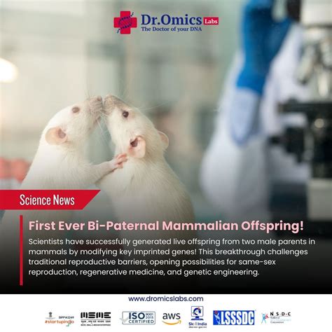 Genomicimprinting Bipaternaloffspring Geneediting Epigenetics