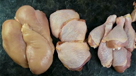 ШУА ийн ХХТХ ийн эрдэм шинжилгээний тэргүүлэх ажилтан Ж Ганбаатар Эрүүл амьдралын хэв маяг