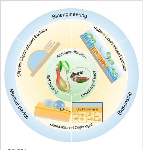 Figure 1 From Bioinspired Liquid Infused Surface For Biomedical And Biosensing Applications
