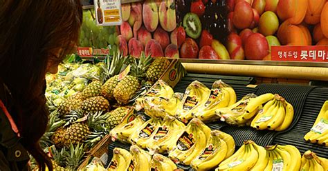 수입 신선식품 가격 상승