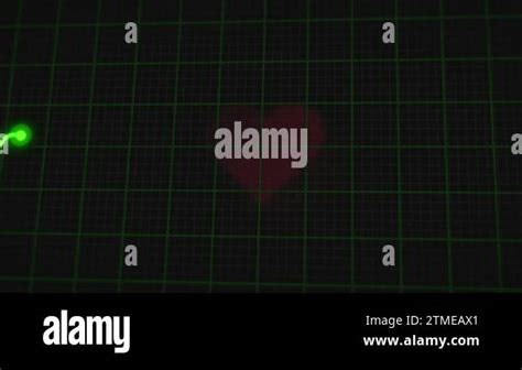 Heartbeat Monitor Line Seamlessly Loop Animation Green Line Graph Of