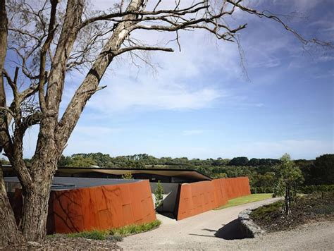 Premium Photo A Tree With No Leaves Is In Front Of A Lake