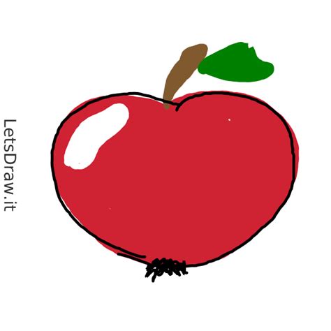 How To Draw Apple Y85gwzhq Png LetsDrawIt How To Draw Apple Y85gwzhq Png LetsDrawIt