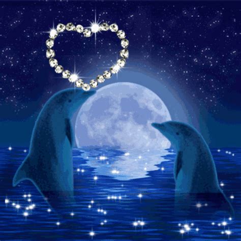 Project X Love Potion Dolphin  Retmotorcycle