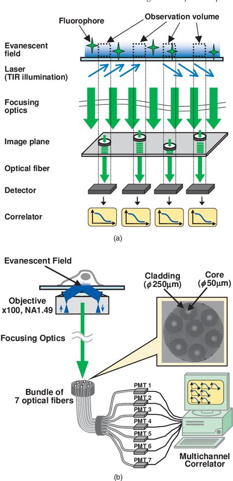 Figure 1 From Multipoint Fluorescence Correlation Spectroscopy With Total Internal Reflection