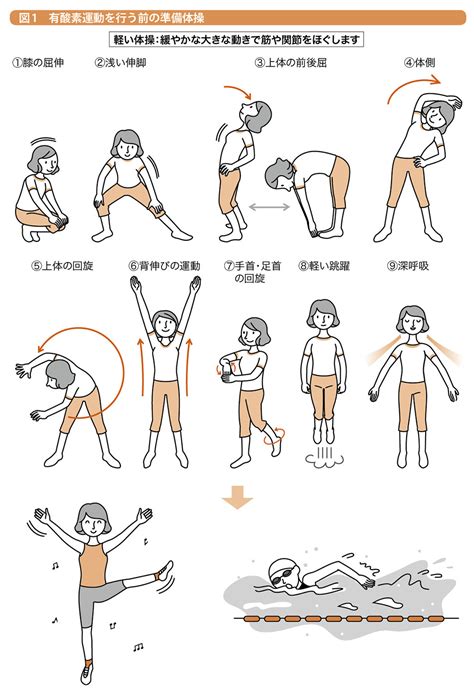 ストレッチ 体操 図解 Hoken Nays