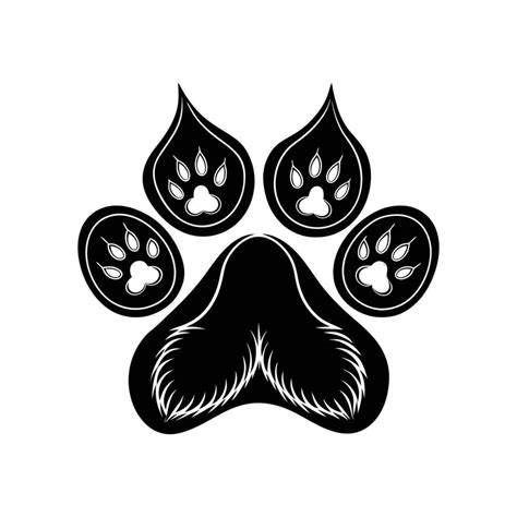 Miniature Schnauzer Paw 54060368 Vector Art At Vecteezy