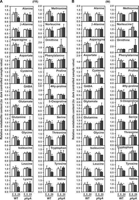 Relative Amino Acid Contents Of Wt And Phya 211 Seedlings Under Download Scientific Diagram