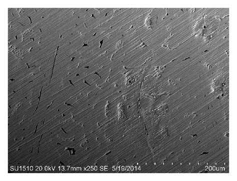 Micrograph Of The Corroded Surfaces Of A Ni3al B Ni3al 1cu C