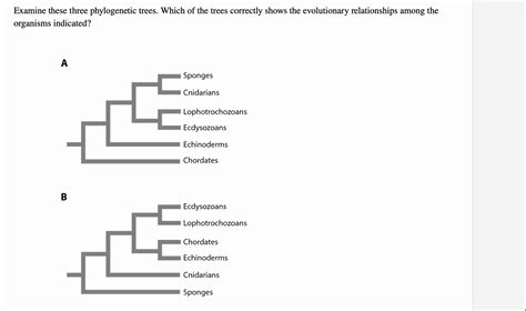 Solved Examine These Three Phylogenetic Trees Which Of The