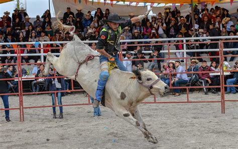 Jaripeo Landscape At Dorothy Lessard Blog