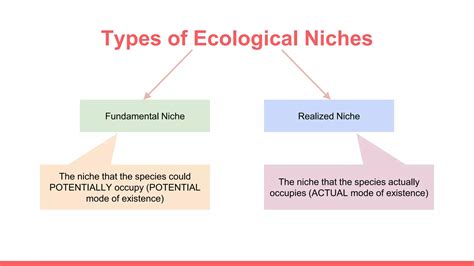 Option C Ecology And Conservation Pptx