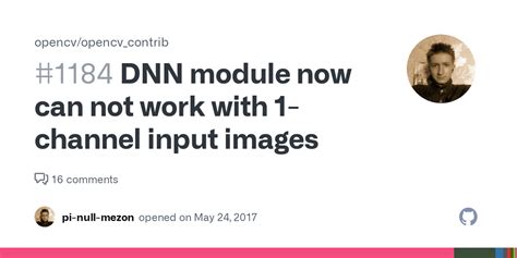 Dnn Module Now Can Not Work With Channel Input Images Issue Opencv Opencv Contrib