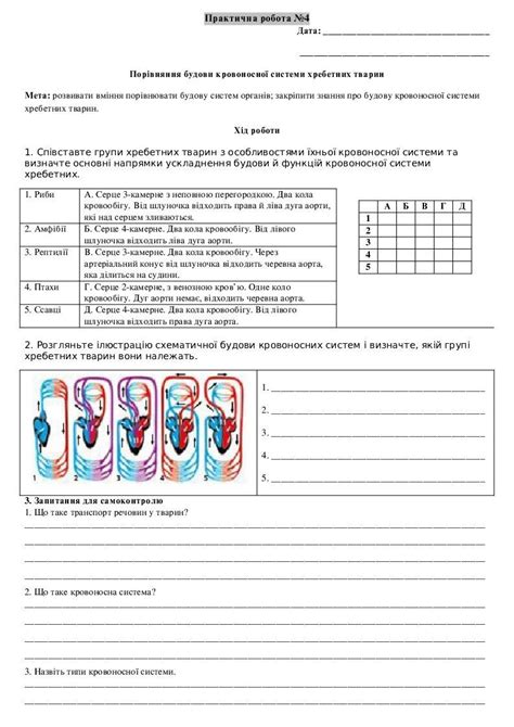 Практична робота №4 Порівняння будови кровоносної системи хребетних тварин Біологія