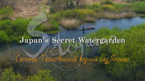 В гармонии с природой смотреть онлайн все 1 видео от В гармонии с природой в хорошем качестве