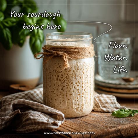 Sourdough Starter Fundamentals Easy Steps To A Bubbly Start