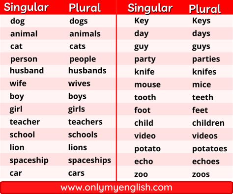 50 Singular And Plural Nouns Words