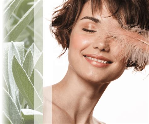 Make Up Categories Drbelter Cosmetic