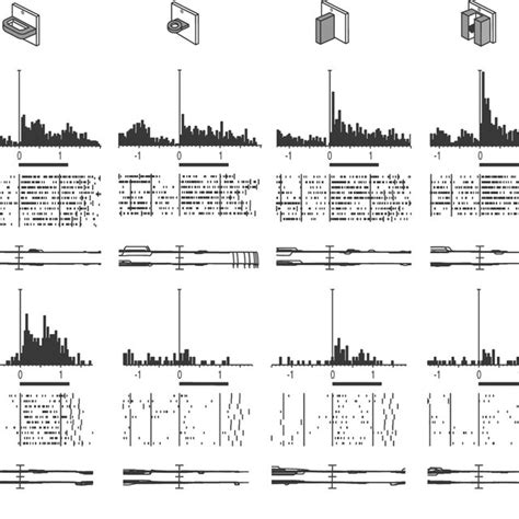 Behavioral Tasks Used To Assess Object Selectivity A B Object And Download Scientific