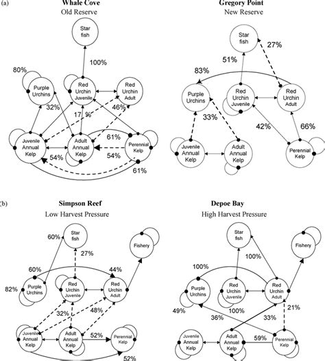 Summary Of Alternative Models Suggested By Qualitative Simulations A