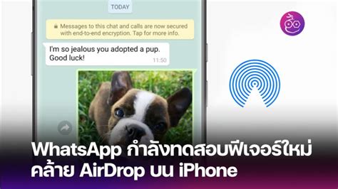 Whatsapp กำลังทดสอบฟีเจอร์คล้าย Airdrop ทำให้ส่งไฟล์สะดวกขึ้น