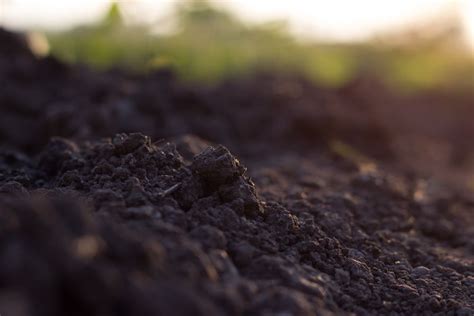 Things You Didn T Know About Soil