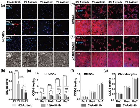 Bioactivity And Biocompatibility Of Axitinib‐loaded Pcl Collagen Download Scientific Diagram