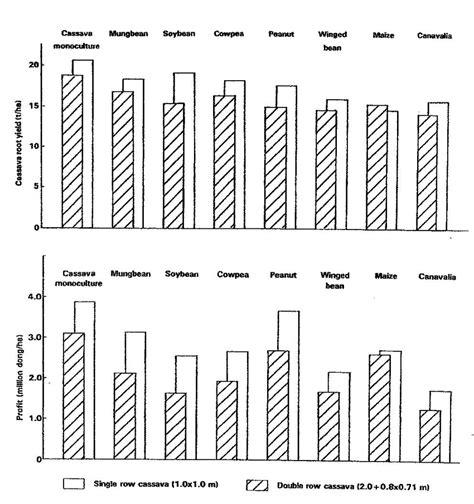 Average Effect Of Various Intercropping Systems On Cassava Yields Top Download Scientific