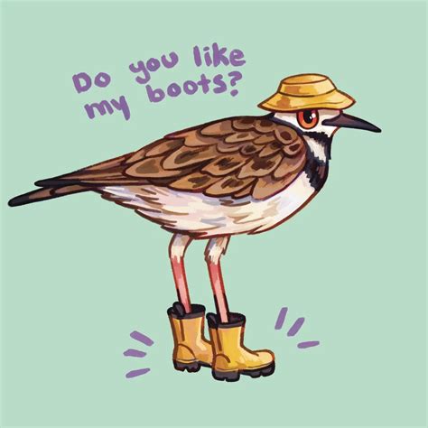 Jelarts Critter Illustrator On Instagram A Killdeer With Some Fancy