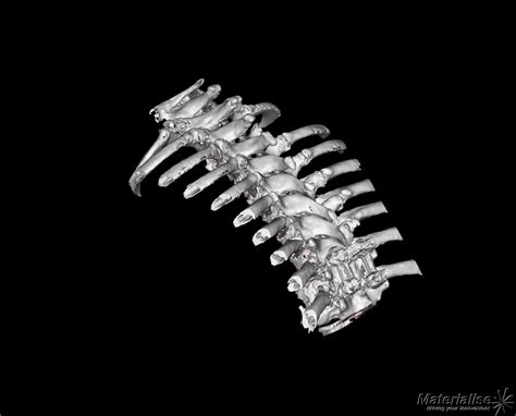 Anatomically Correct 3d Medical Reference Models 3d Thoracic Spine Model 3d Medical Model