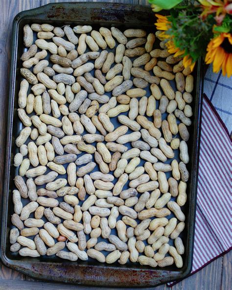 Easy Roasted Peanuts In The Shell Southern Discourse