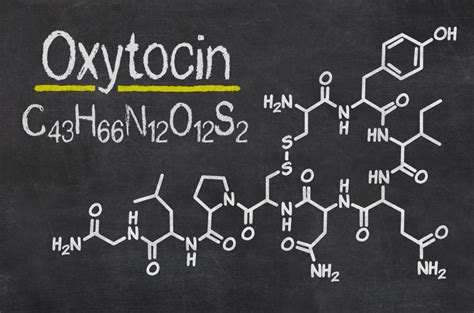 Oxytocinits Not Just About Sex